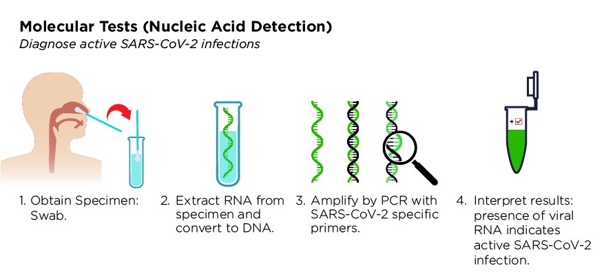 PCR and Pooled Testing – COVID-Safe Schools